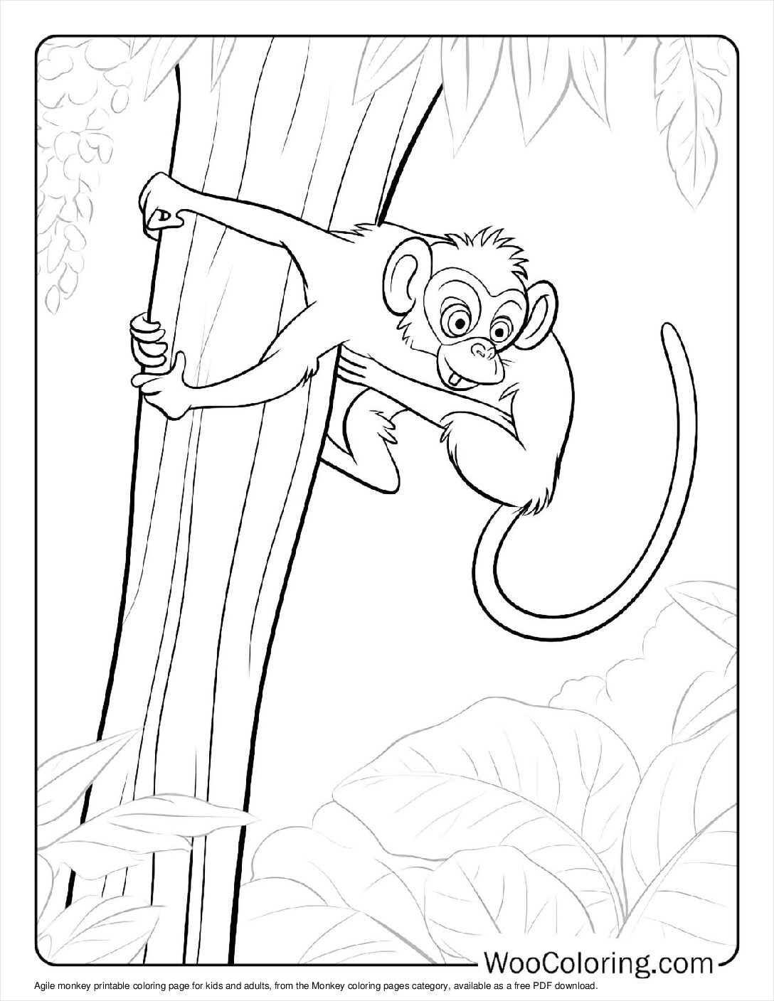 100+ Monkey coloring pages (Free PDF To Print) | Woo Coloring