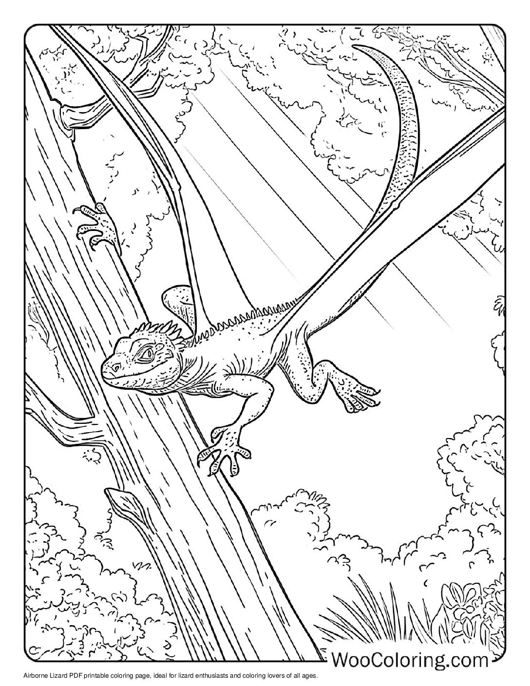 100+ Lizard coloring pages (Free PDF To Print) | Woo Coloring