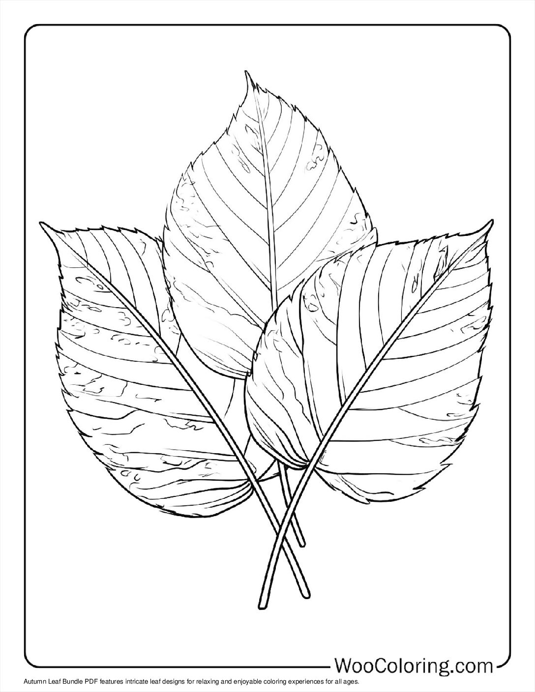 100+ Leaf coloring pages (Free PDF To Print) | Woo Coloring