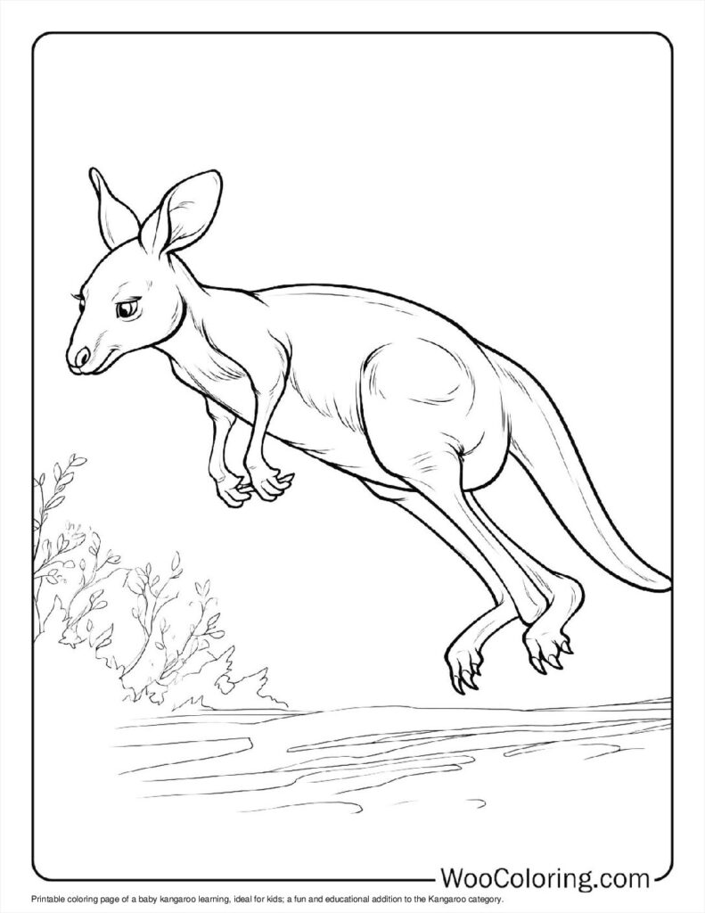 100+ Kangaroo coloring pages (Free PDF To Print) | Woo Coloring