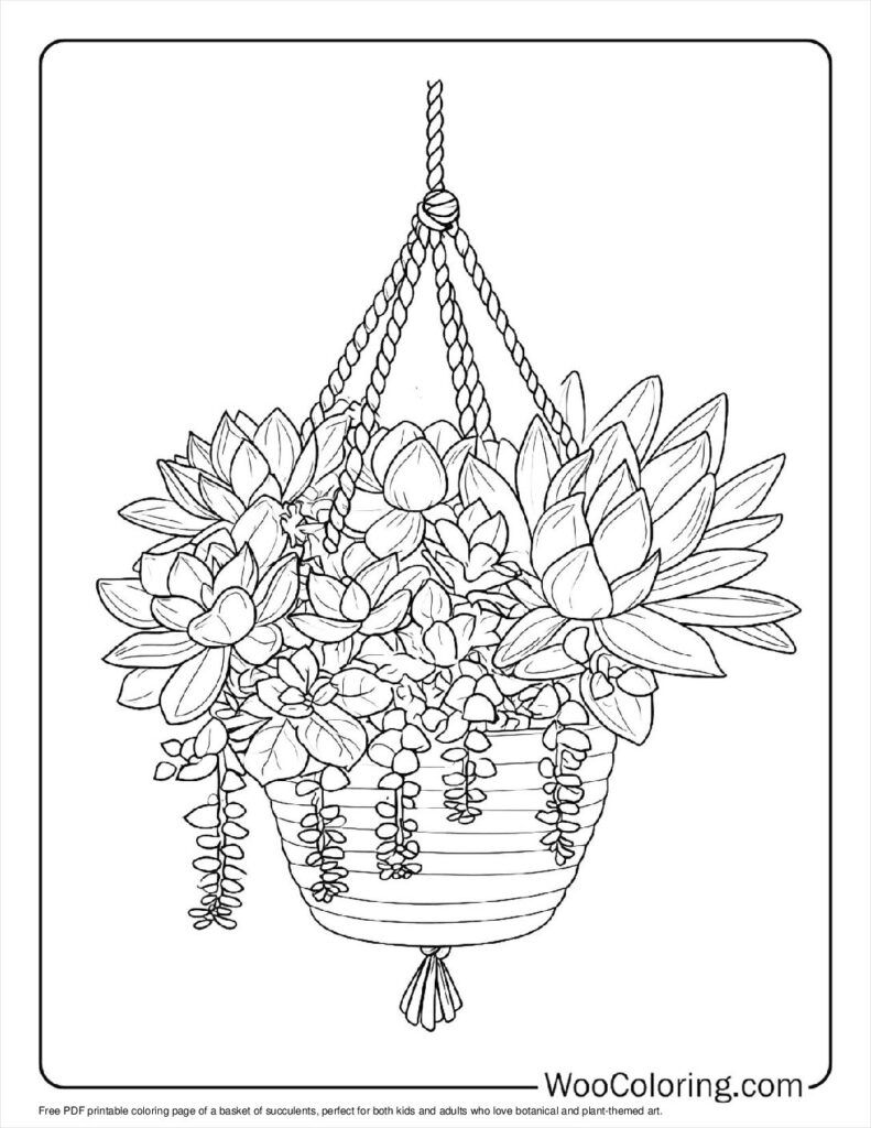 100+ Succulent coloring pages (Free PDF To Print) | Woo Coloring