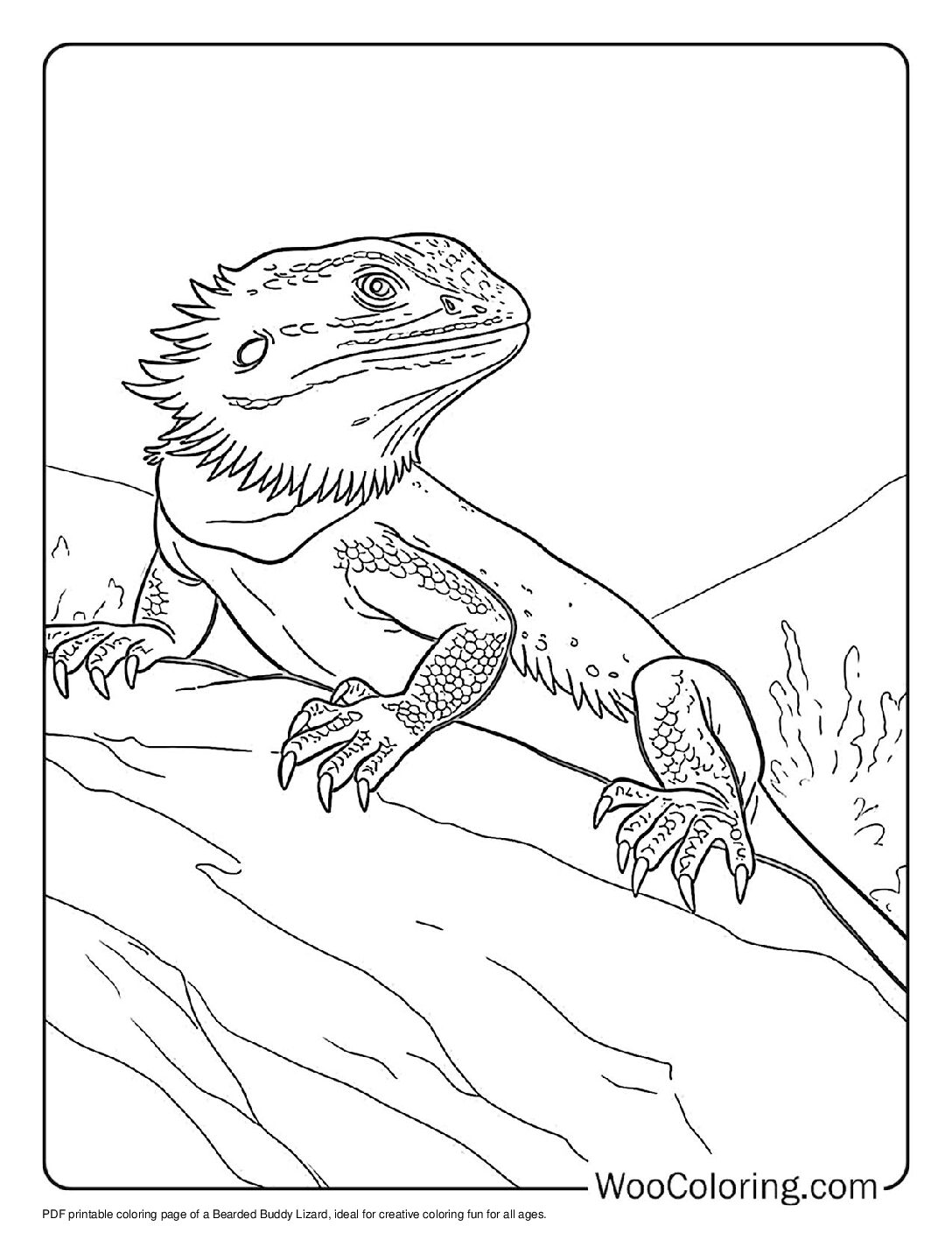 100+ Lizard coloring pages (Free PDF To Print) | Woo Coloring