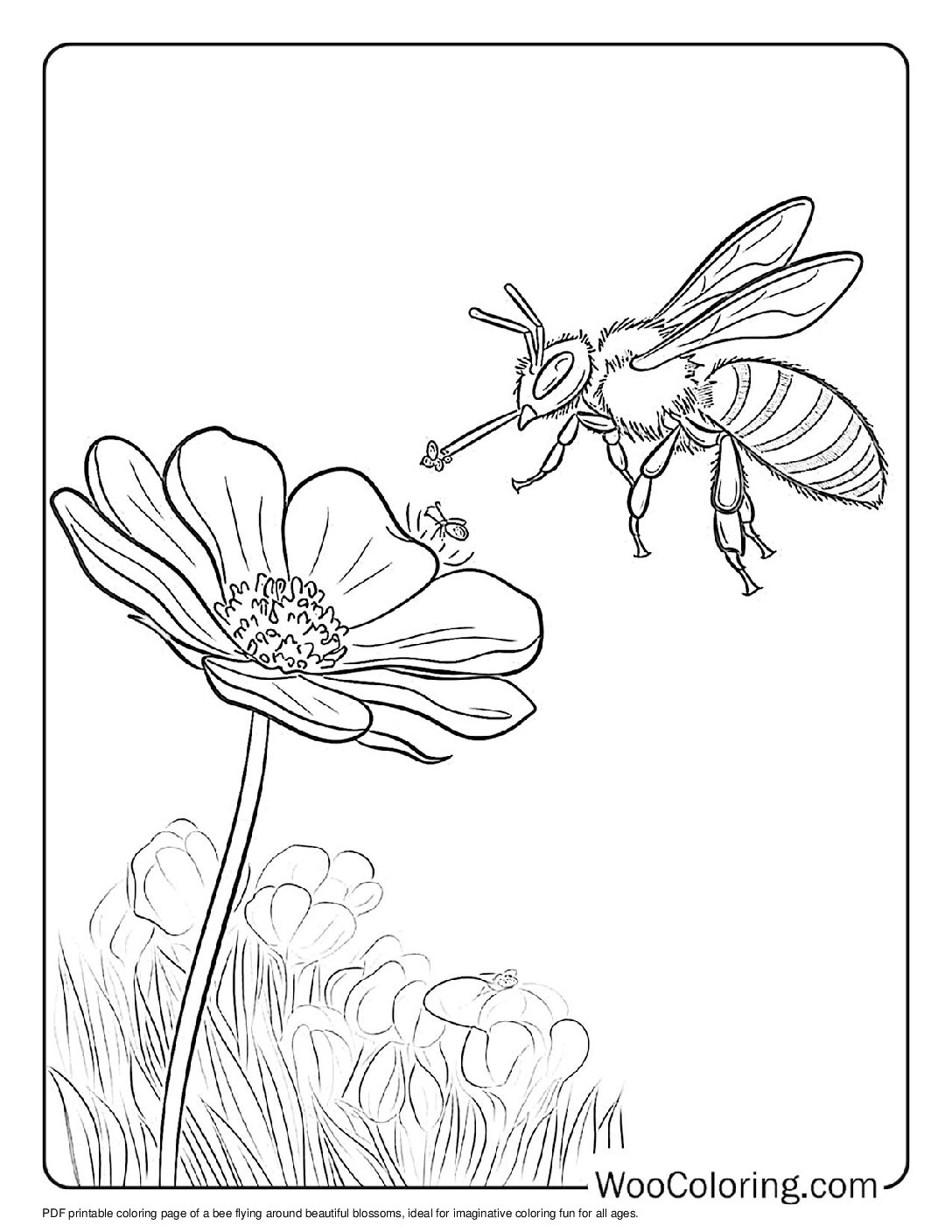 100+ Bee coloring pages (Free PDF To Print) | Woo Coloring