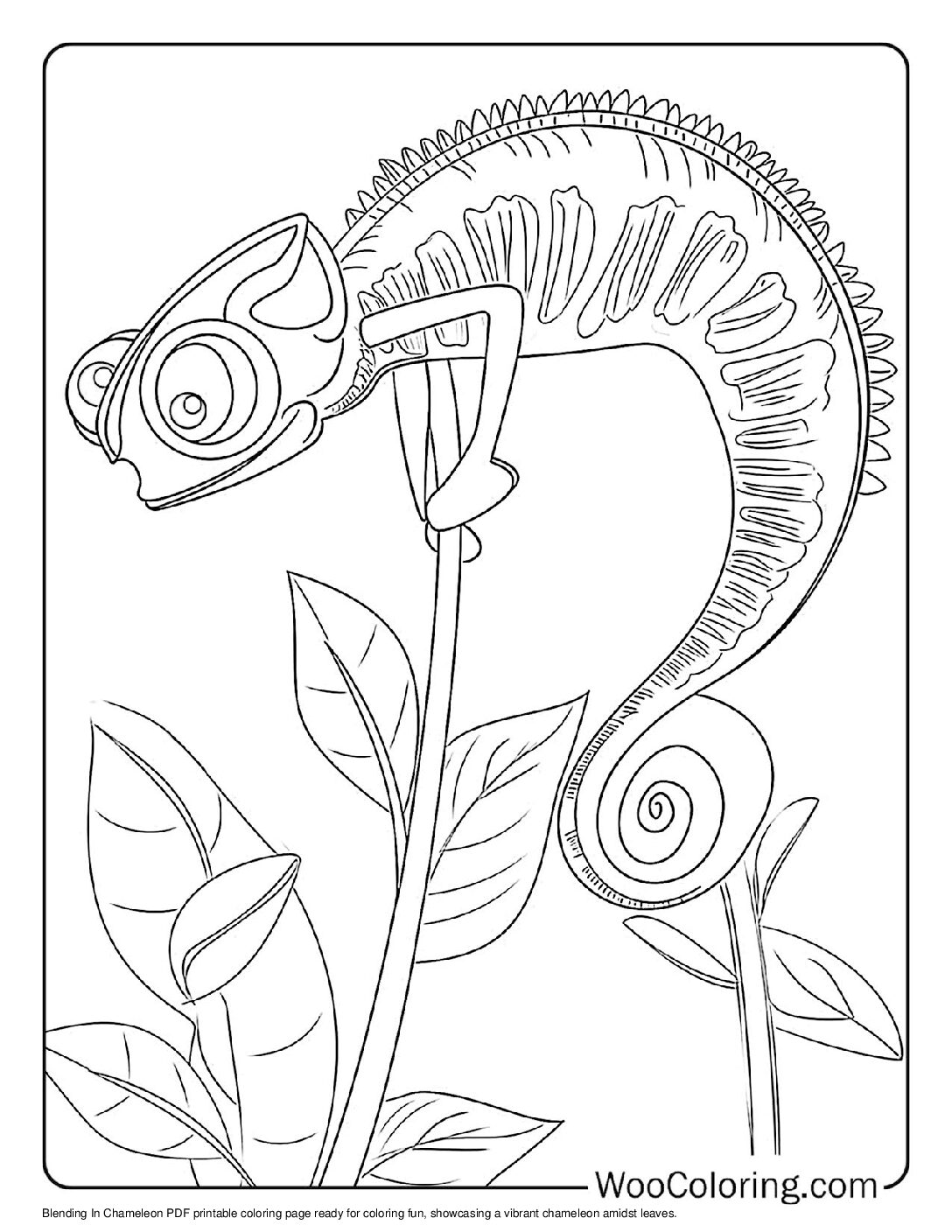 100+ Chameleon coloring pages (Free PDF To Print) | Woo Coloring