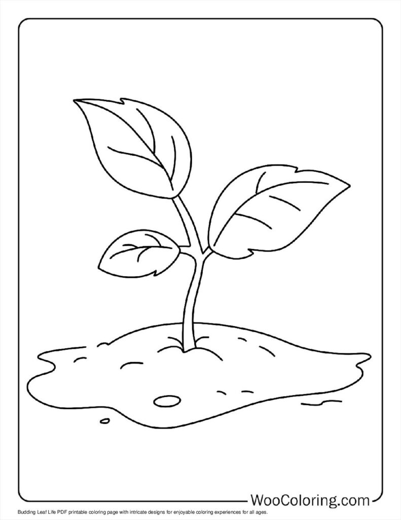 100+ Leaf coloring pages (Free PDF To Print) | Woo Coloring