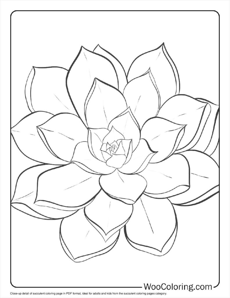 100+ Succulent coloring pages (Free PDF To Print) | Woo Coloring