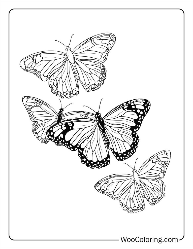 100+ Butterfly coloring pages (Free PDF To Print) | Woo Coloring