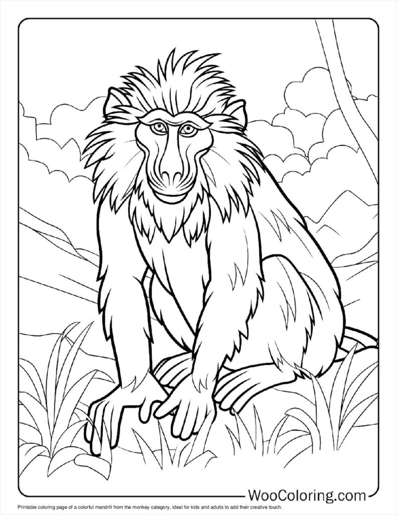 Mandrill Coloring Pages Monkey Printable Drawing Designlooter Skip Main ...