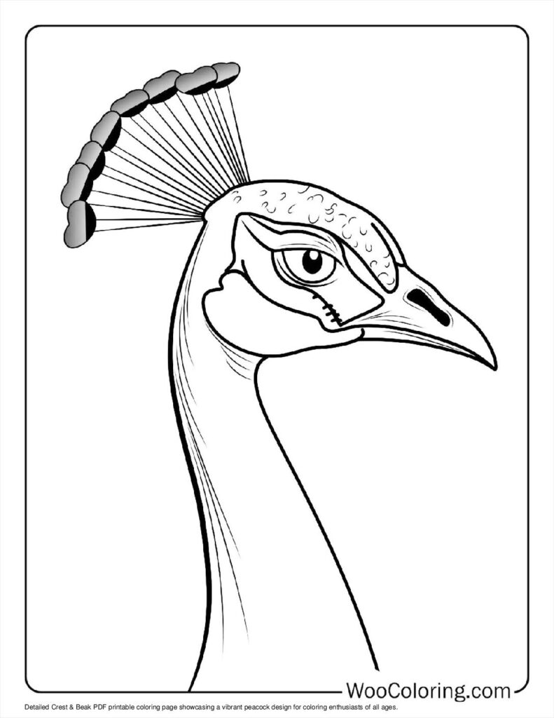 100+ Peacock coloring pages (Free PDF To Print) | Woo Coloring