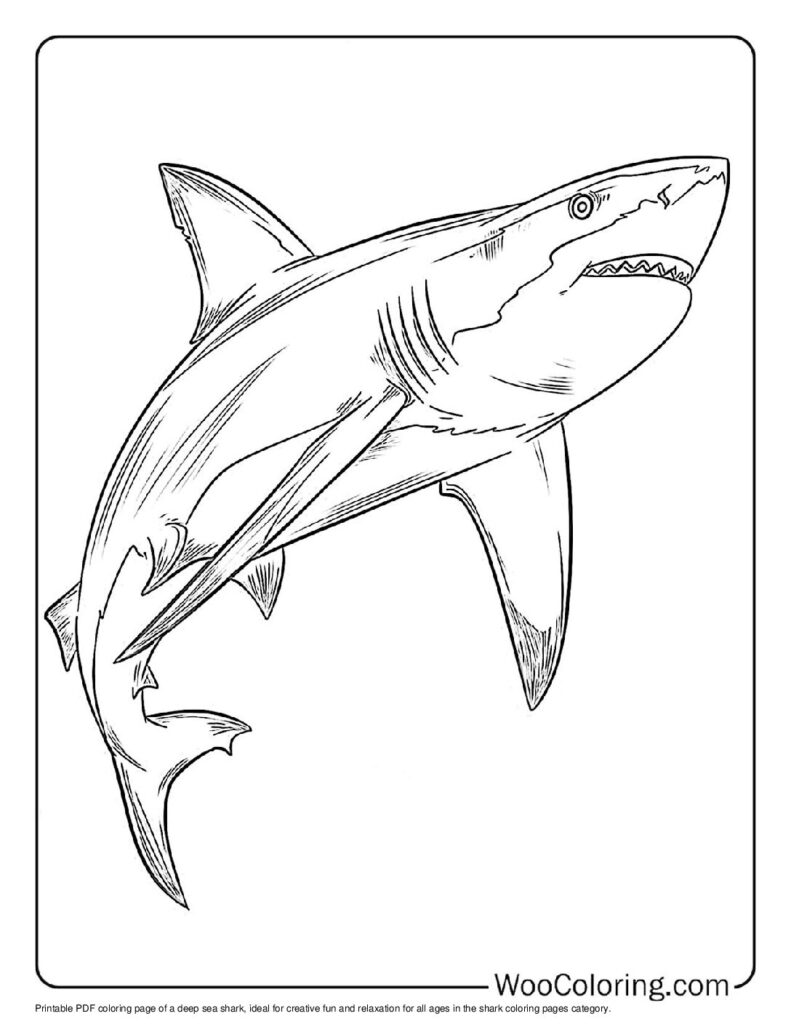 100+ Shark coloring pages (Free PDF To Print) | Woo Coloring
