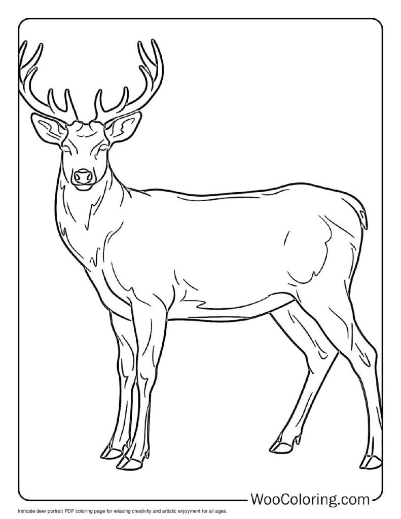 100+ Deer coloring pages (Free PDF To Print) | Woo Coloring