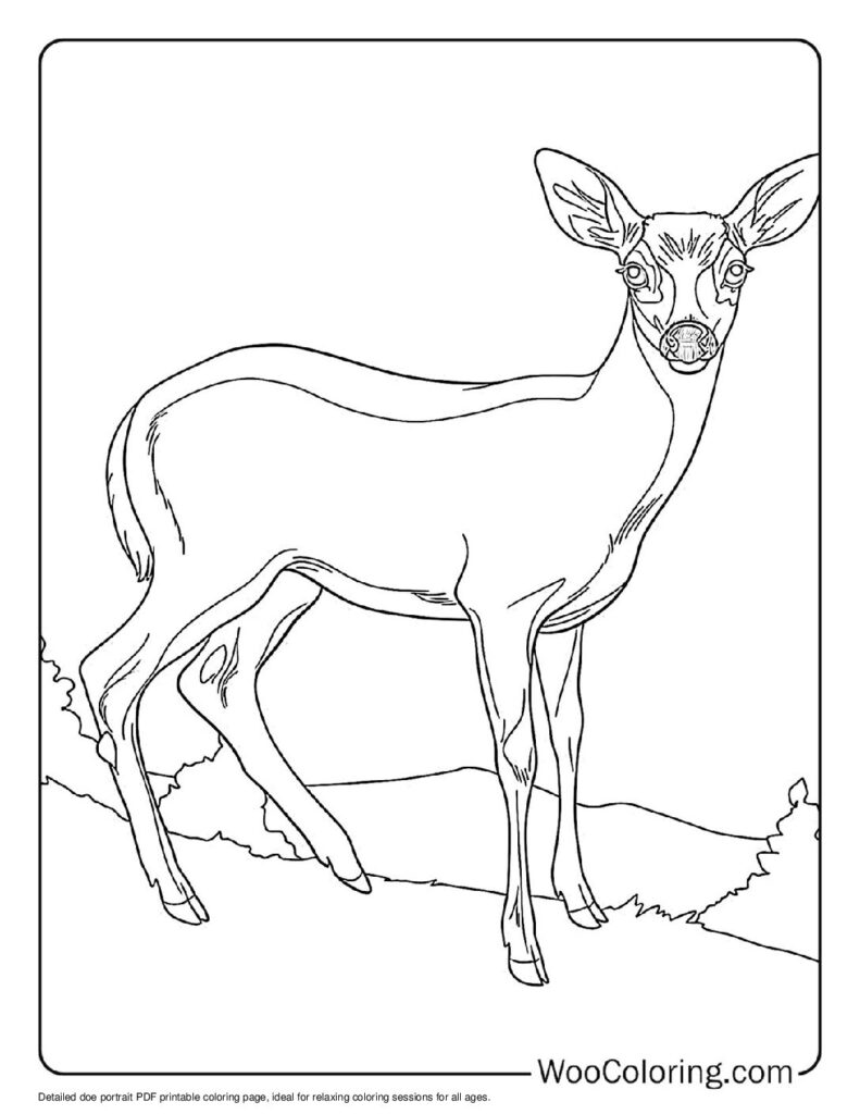 100+ Deer coloring pages (Free PDF To Print) | Woo Coloring
