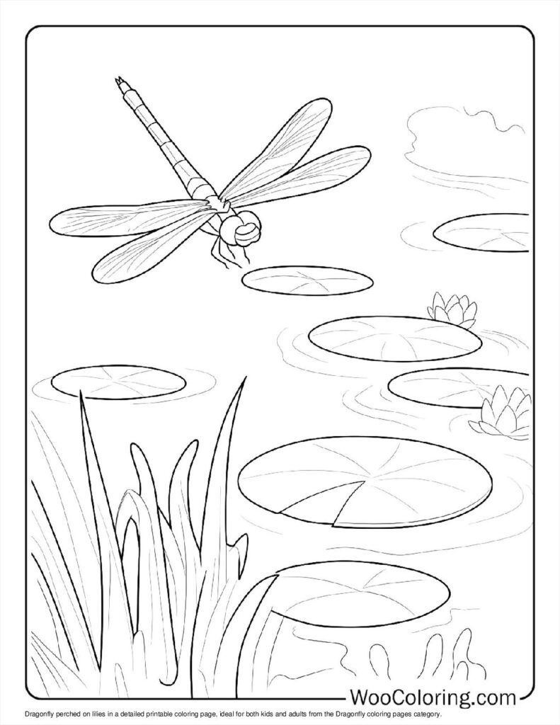 100+ Dragonfly coloring pages (Free PDF To Print) | Woo Coloring