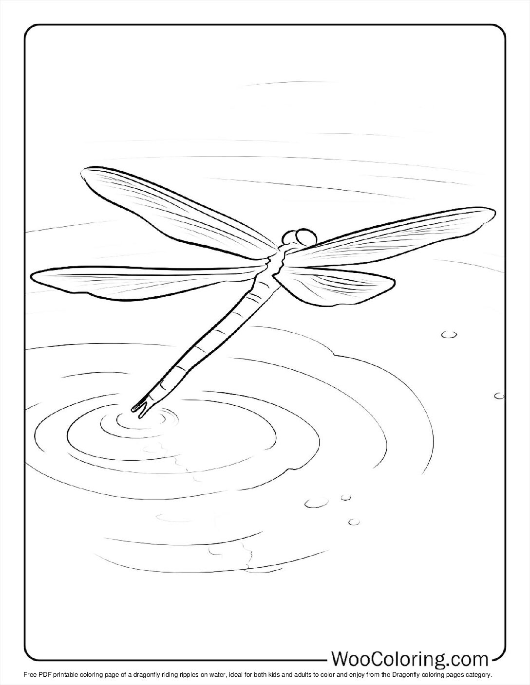 100+ Dragonfly coloring pages (Free PDF To Print) | Woo Coloring