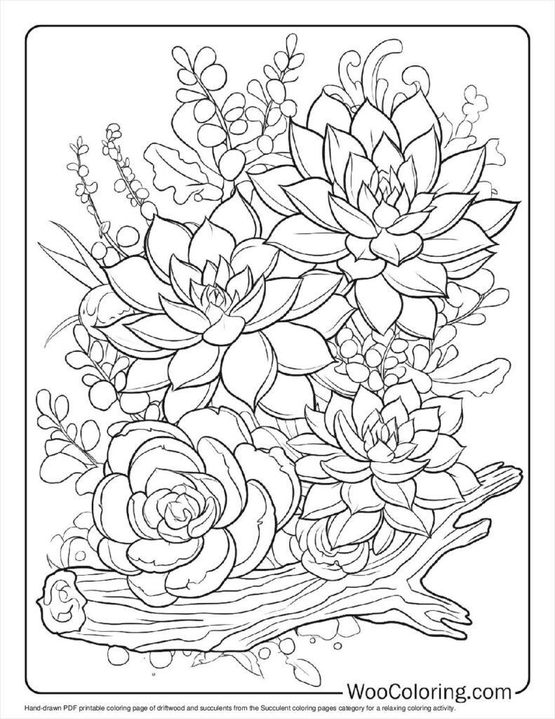 100+ Succulent coloring pages (Free PDF To Print) | Woo Coloring