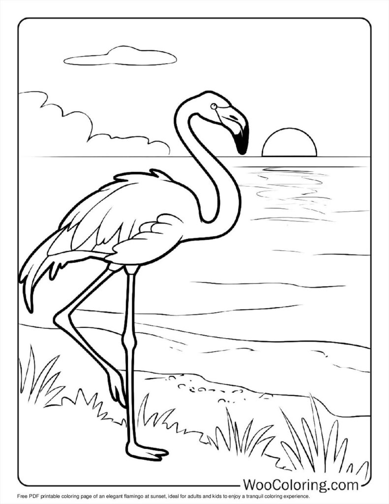 100+ Flamingo coloring pages (Free PDF To Print) | Woo Coloring