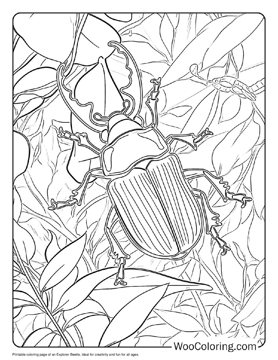 100+ Beetle coloring pages (Free PDF To Print) | Woo Coloring