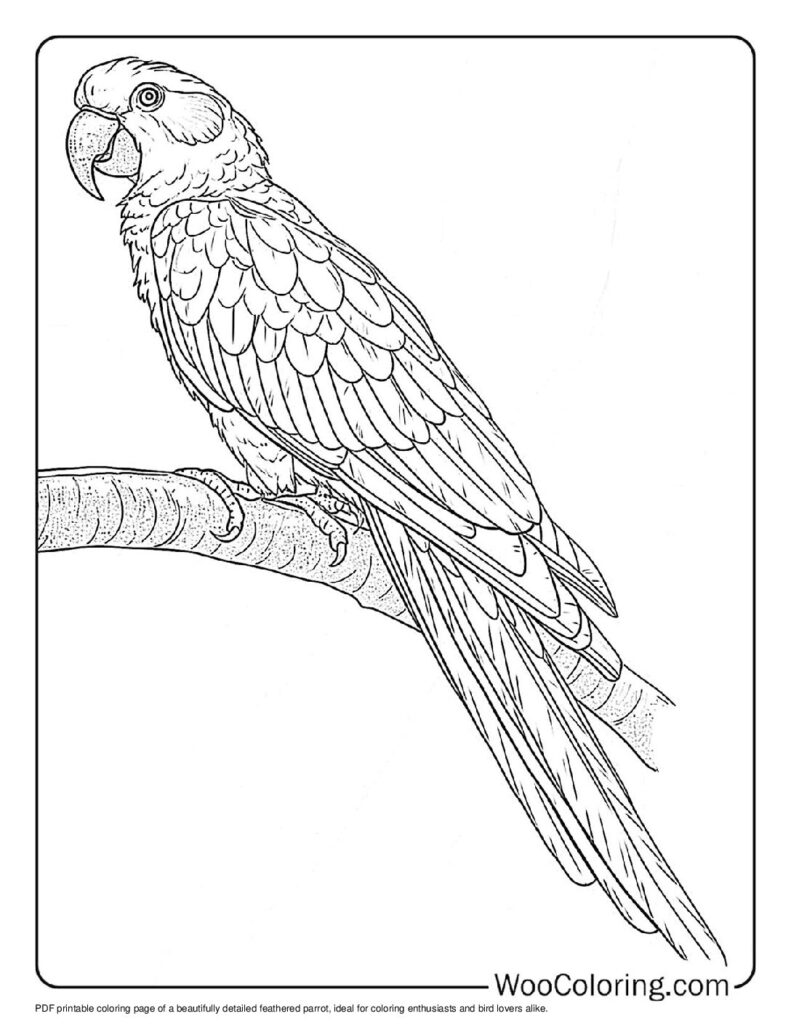 100+ Parrot coloring pages (Free PDF To Print) | Woo Coloring