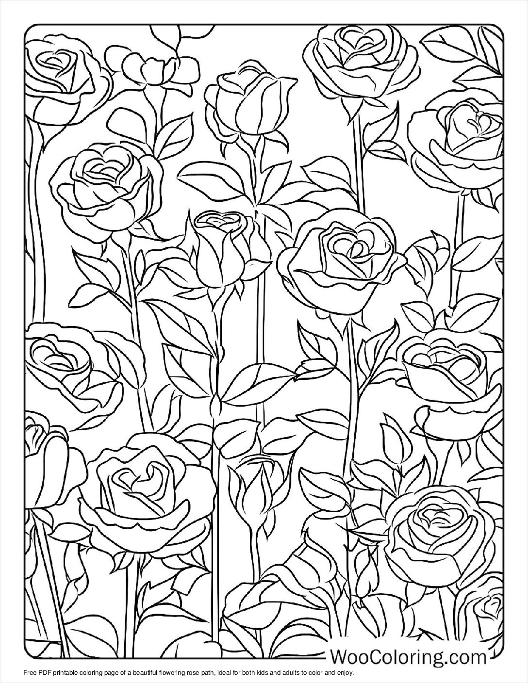 100+ Rose coloring pages (Free PDF To Print) | Woo Coloring