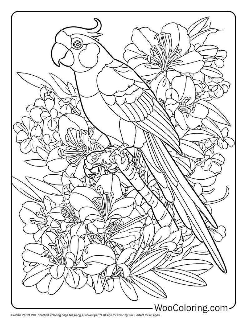 100+ Parrot coloring pages (Free PDF To Print) | Woo Coloring