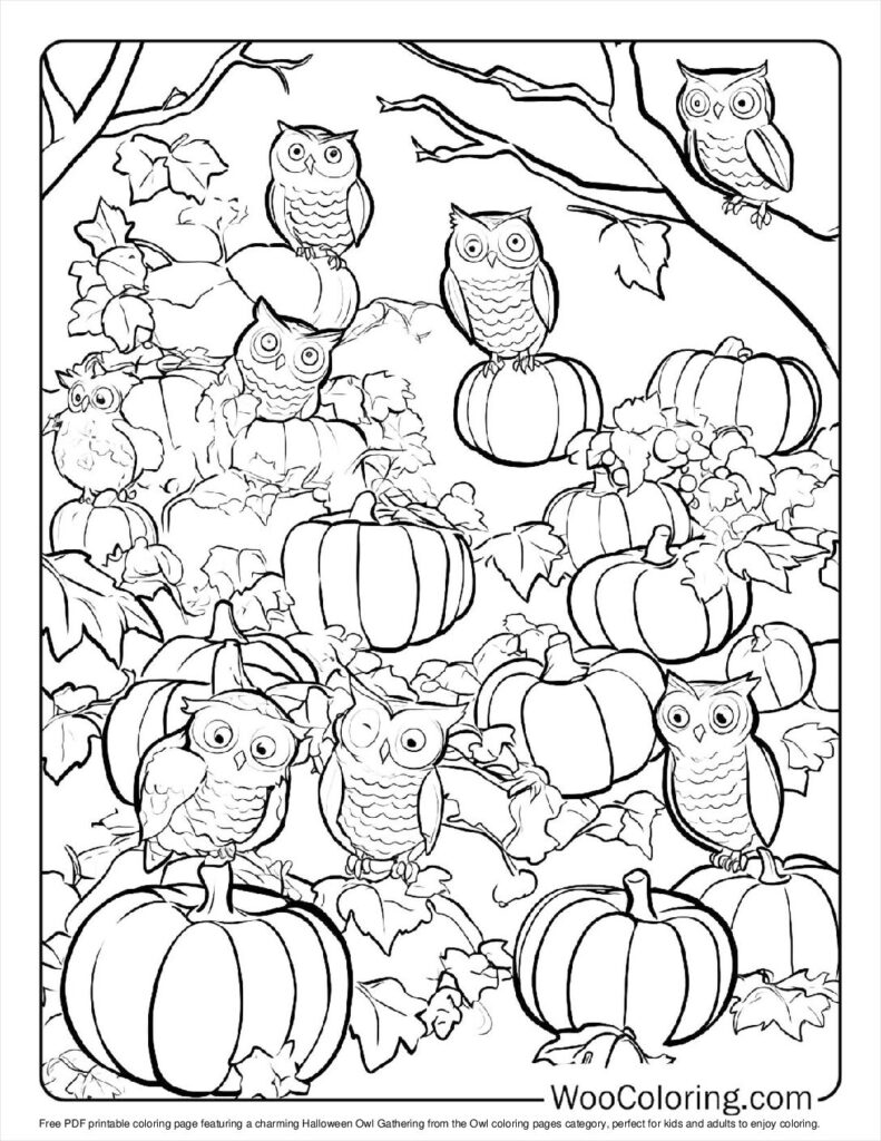 100+ Owl coloring pages (Free PDF To Print) | Woo Coloring
