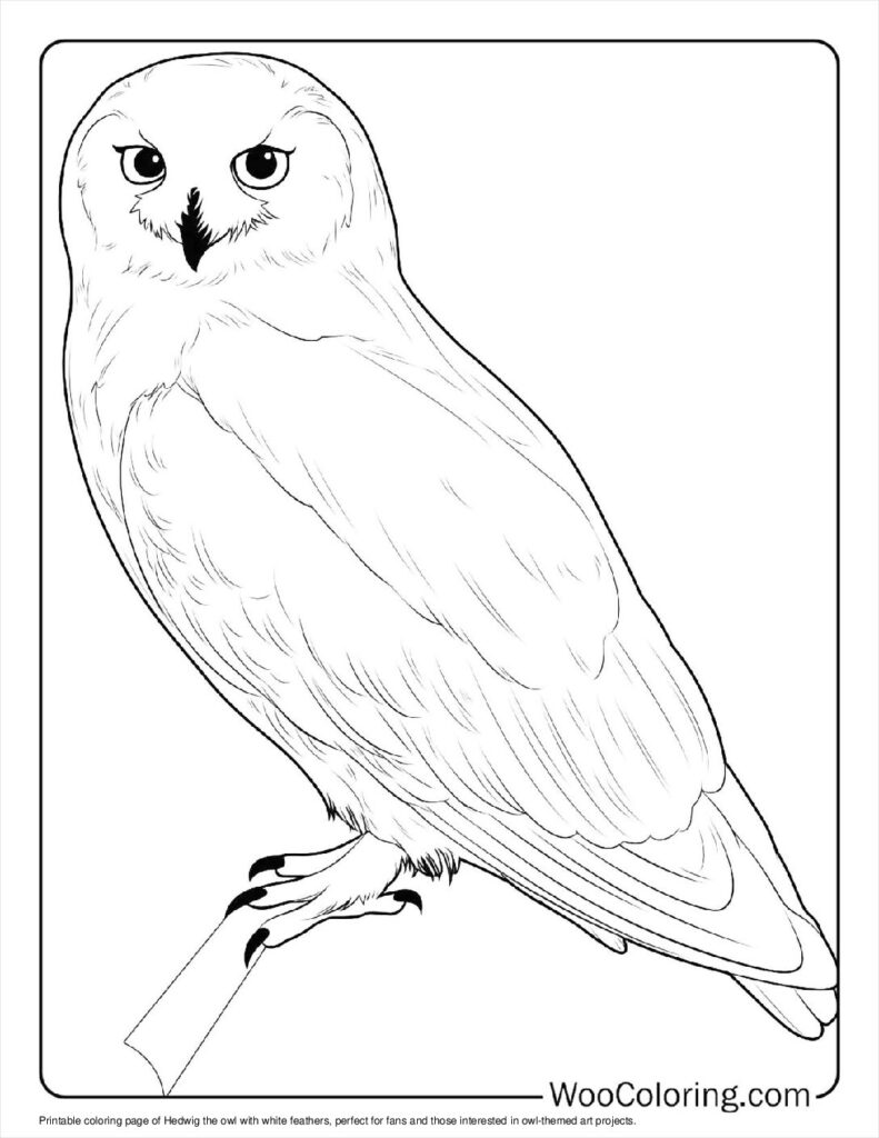 100+ Owl coloring pages (Free PDF To Print) | Woo Coloring
