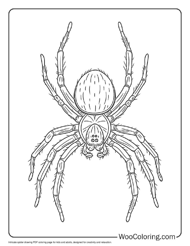 100+ Spider coloring pages (Free PDF To Print) | Woo Coloring