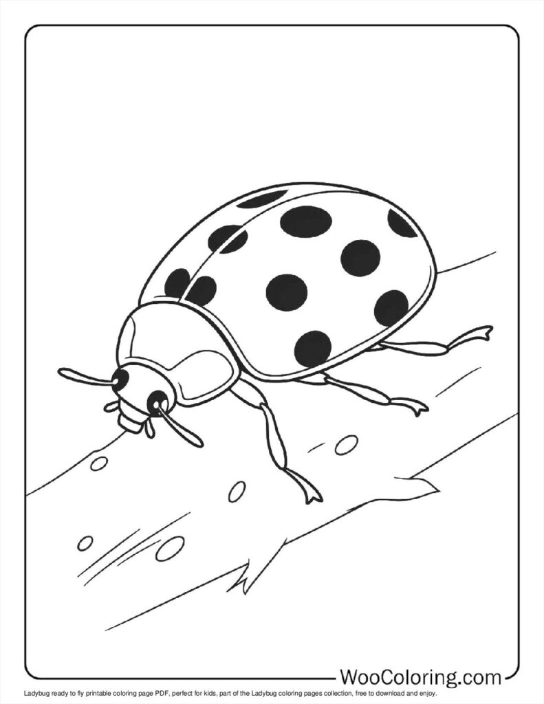 100+ Ladybug coloring pages (Free PDF To Print) | Woo Coloring
