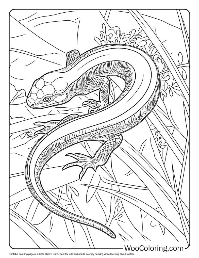 100+ Lizard coloring pages (Free PDF To Print) | Woo Coloring
