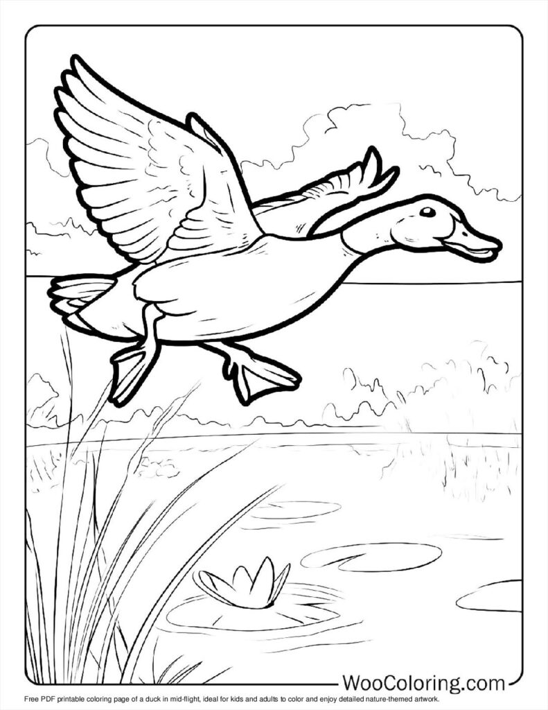 100+ Duck coloring pages (Free PDF To Print) | Woo Coloring