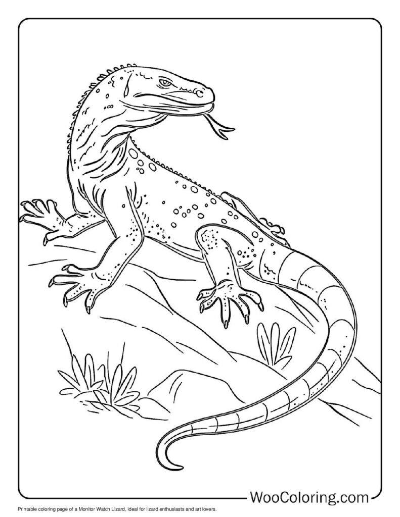 100+ Lizard coloring pages (Free PDF To Print) | Woo Coloring