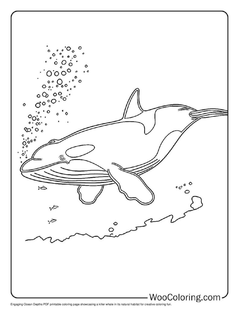100+ Killer Whale coloring pages (Free PDF To Print) | Woo Coloring