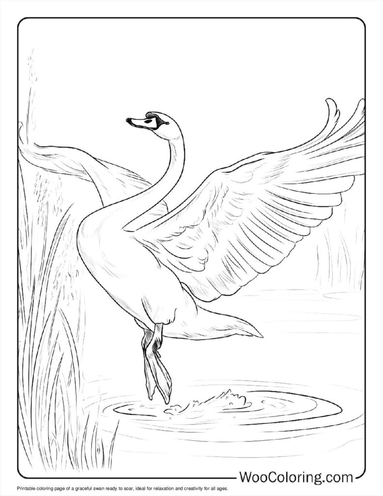 100+ Swan coloring pages (Free PDF To Print) | Woo Coloring