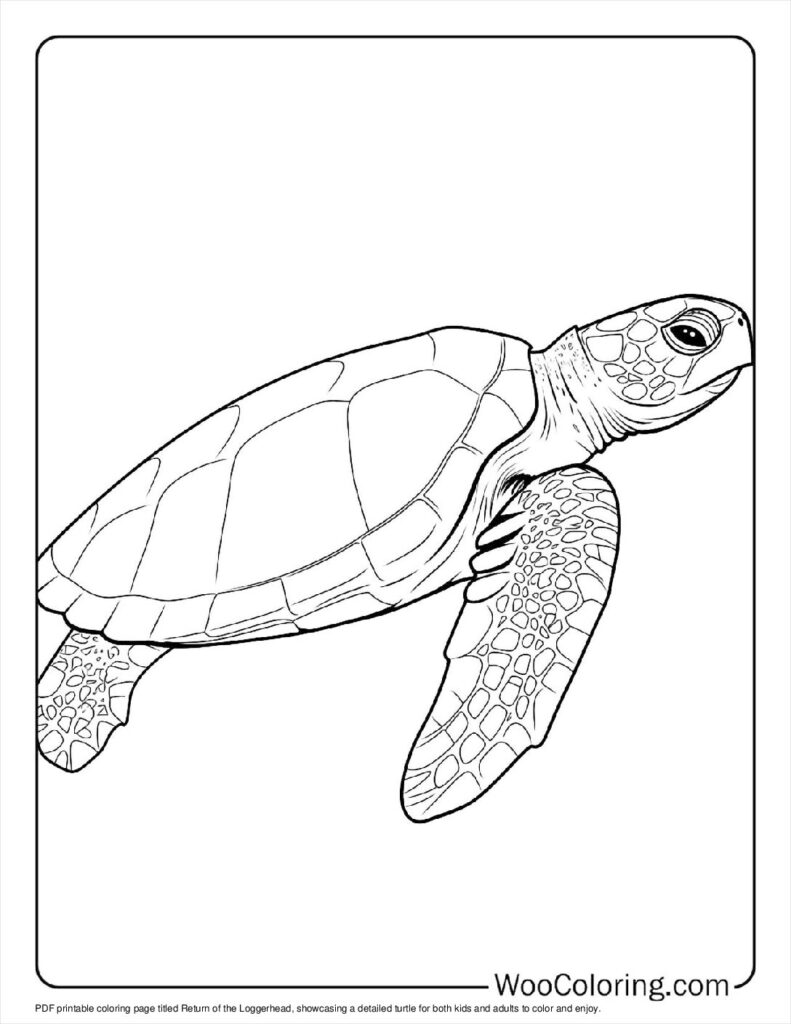 100+ Turtle coloring pages (Free PDF To Print) | Woo Coloring