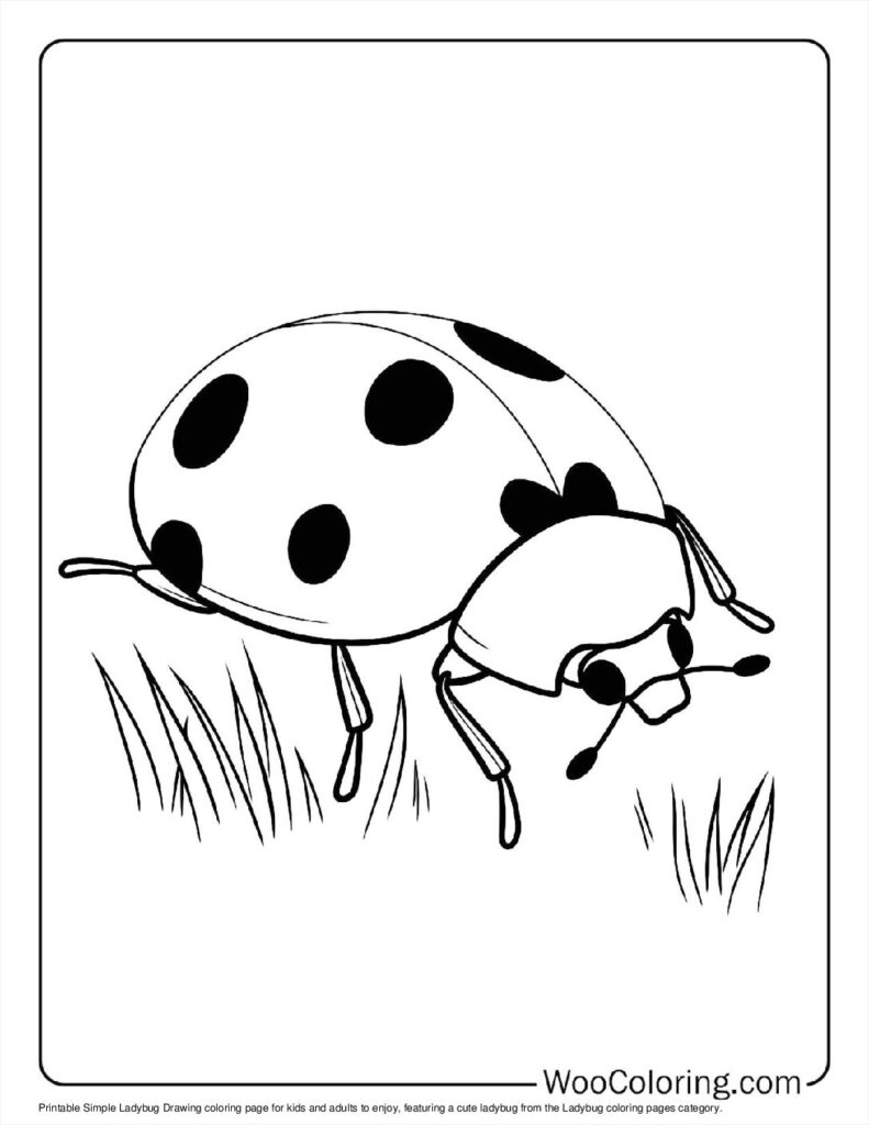 100+ Ladybug coloring pages (Free PDF To Print) | Woo Coloring