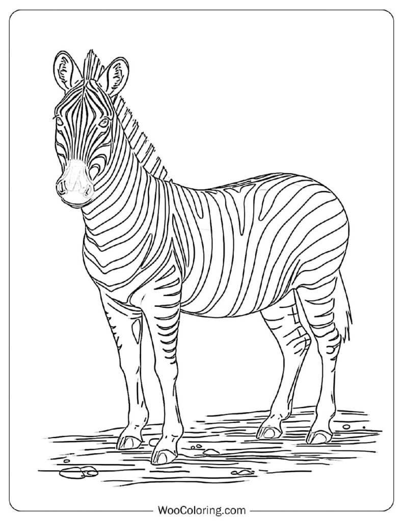 100+ Zebra coloring pages (Free PDF To Print) | Woo Coloring