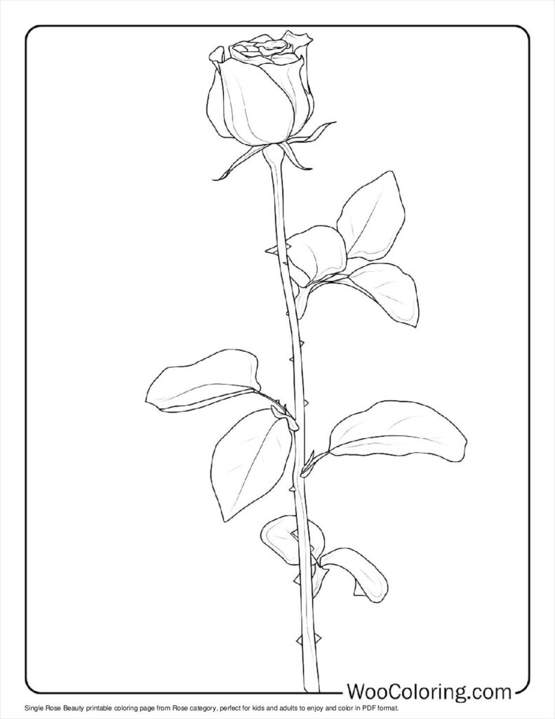 100+ Rose coloring pages (Free PDF To Print) | Woo Coloring