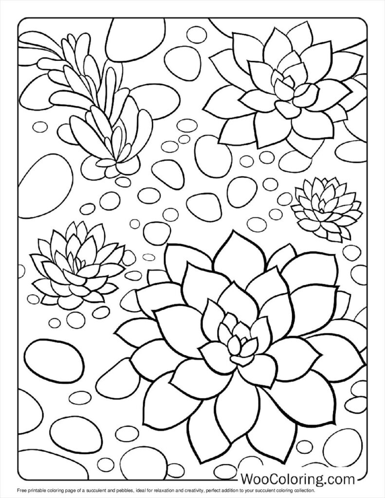 100+ Succulent coloring pages (Free PDF To Print) | Woo Coloring
