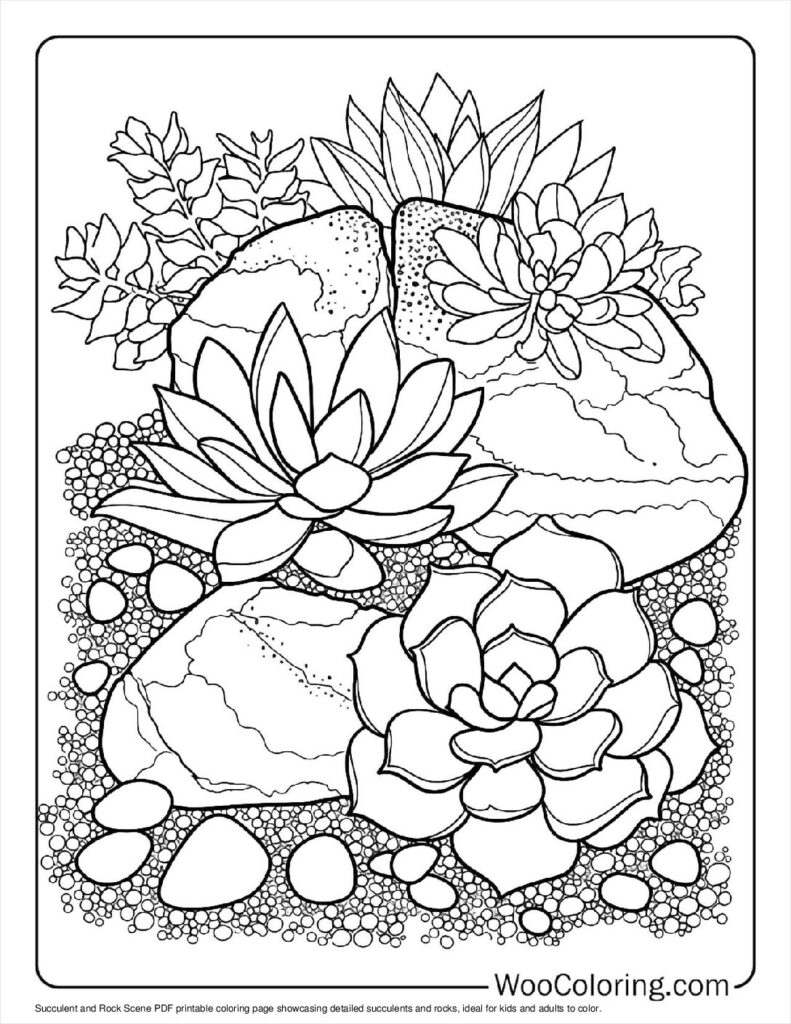100+ Succulent coloring pages (Free PDF To Print) | Woo Coloring