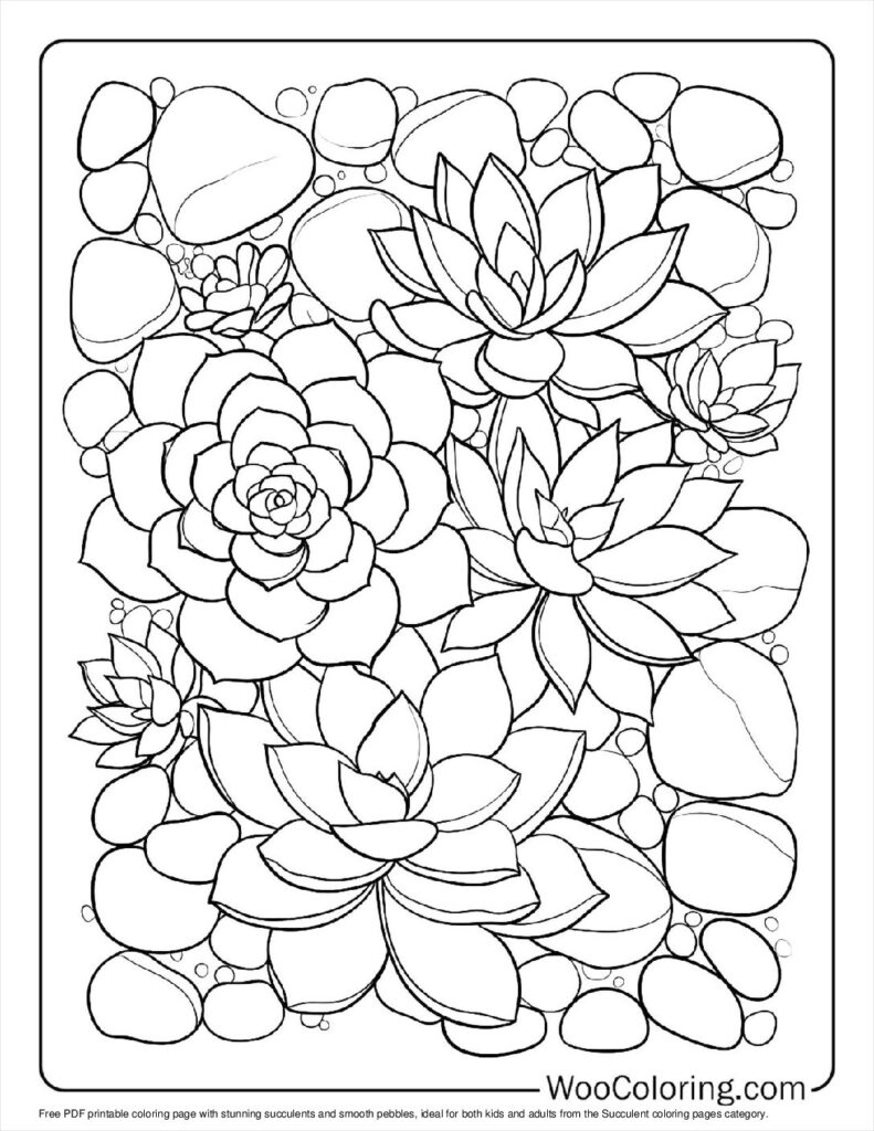 100+ Succulent coloring pages (Free PDF To Print) | Woo Coloring