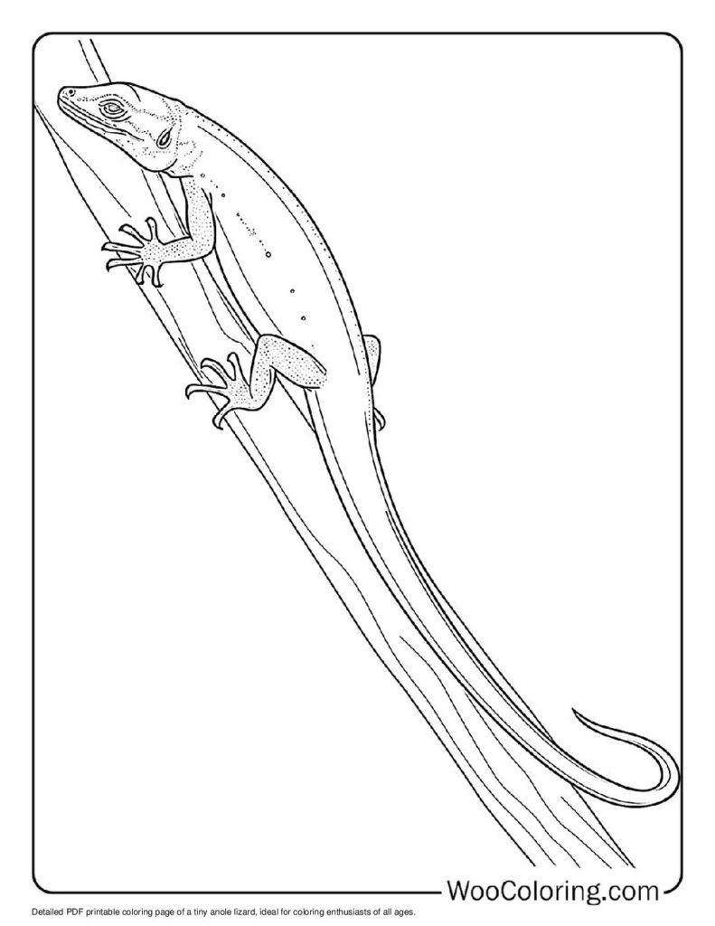 100+ Lizard coloring pages (Free PDF To Print) | Woo Coloring