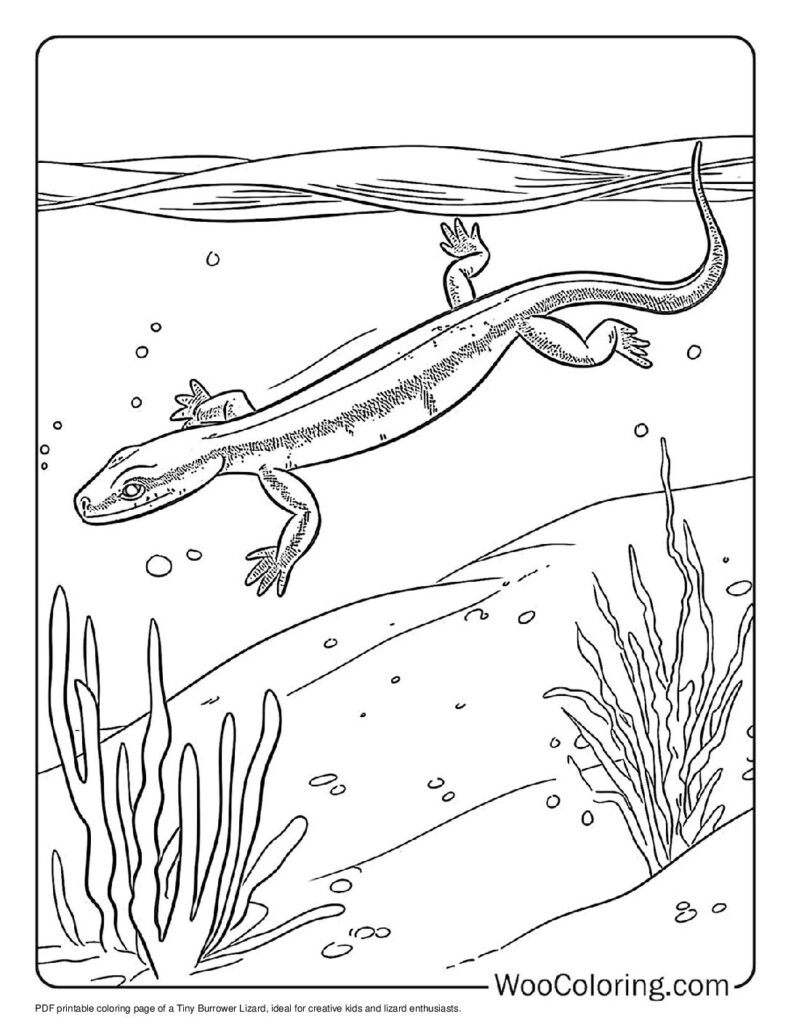 100+ Lizard coloring pages (Free PDF To Print) | Woo Coloring
