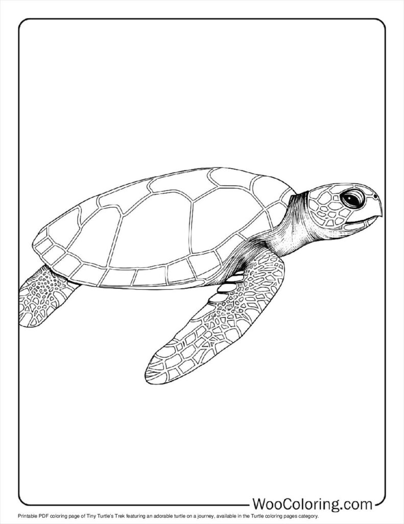 100+ Turtle coloring pages (Free PDF To Print) | Woo Coloring