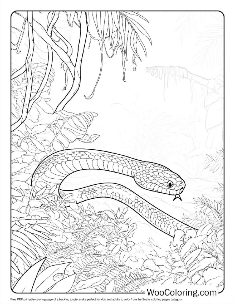 100+ Snake coloring pages (Free PDF To Print) | Woo Coloring